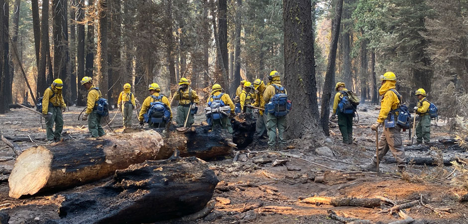 Joint Task Force Rattlesnake - Support Detachment | California State Guard